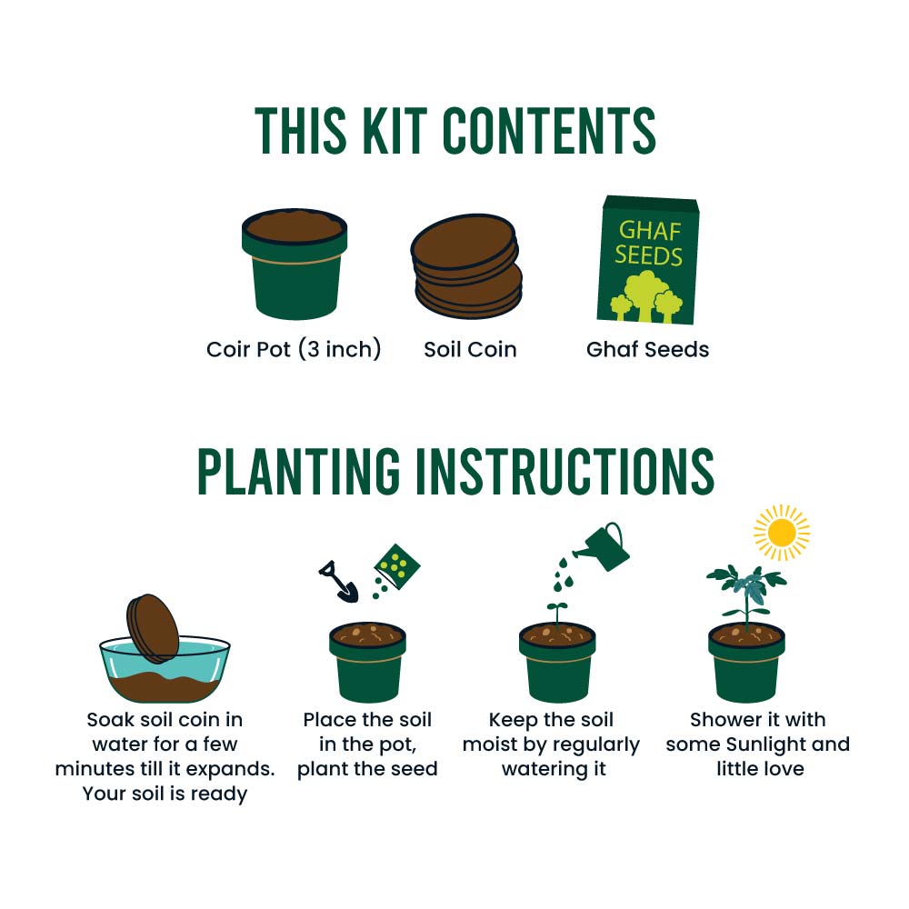 Plantable Kit with GHAF Seeds in Kraft Box | Promotional Gifts ...